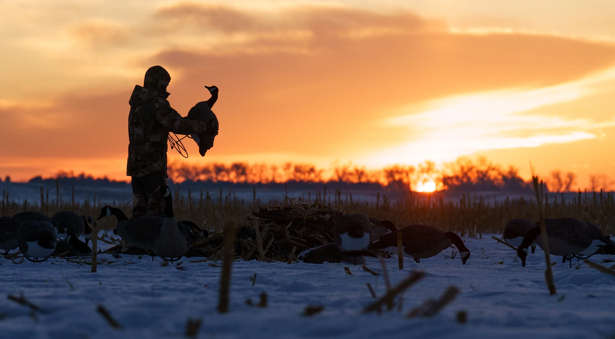 Hunting Experiences - Latitudes Outfitting Co