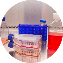 Coding Bio | Engineering Modular Immunotherapies