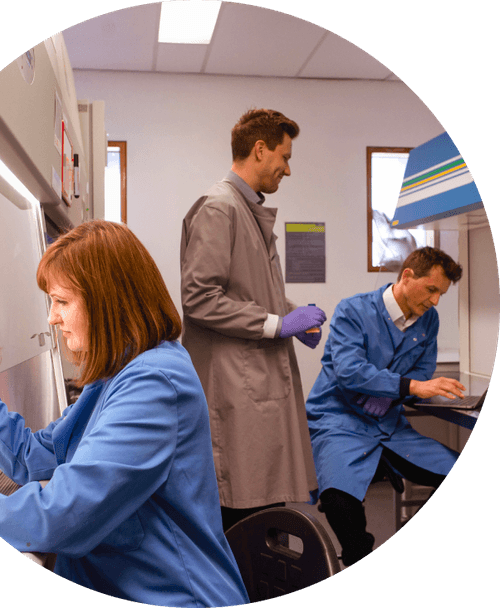 Coding Bio | Engineering Modular Immunotherapies