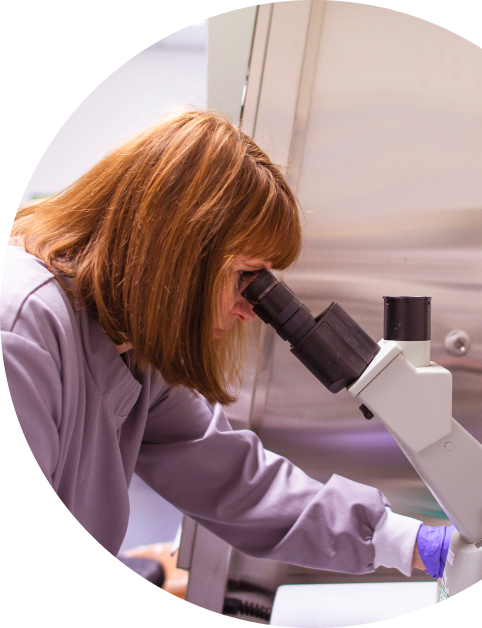 Coding Bio | Engineering Modular Immunotherapies