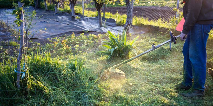 The Best Grass Cutting Service in RI, USA| Cut The Grass Landscaping