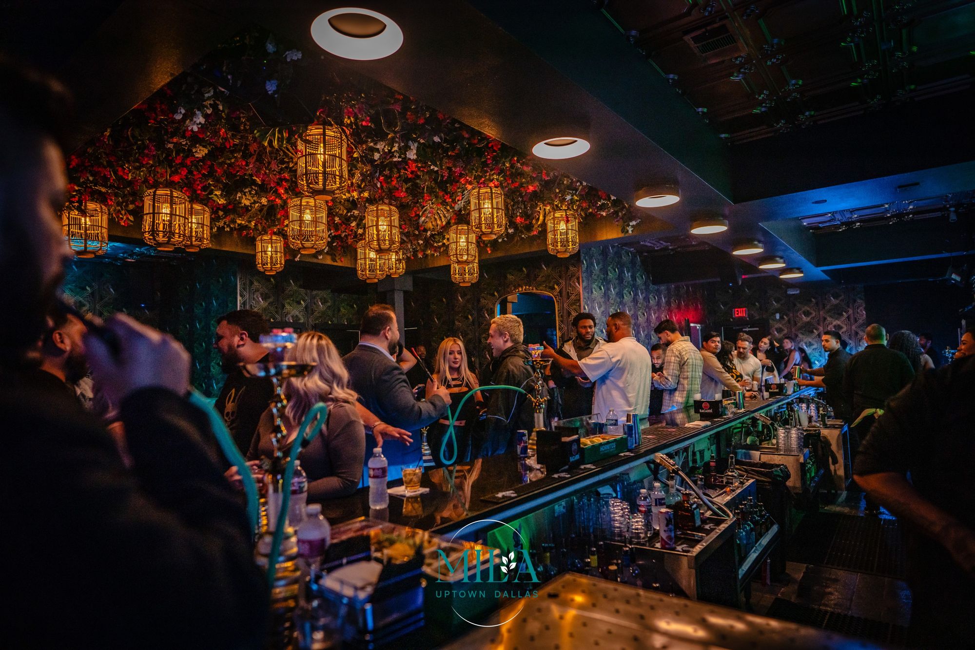 Experience Luxury Nightlife at Mila Uptown | Dallas, Texas