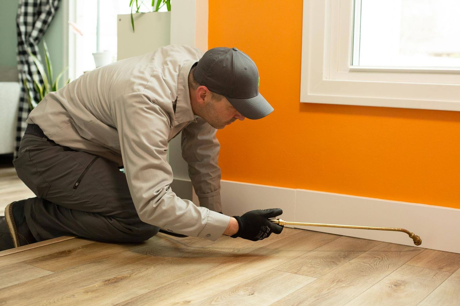 Expert Pest Control & Exterminator Service - Bug Shark