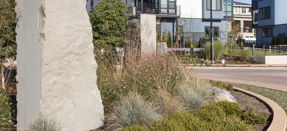 Pacific Landscape Management