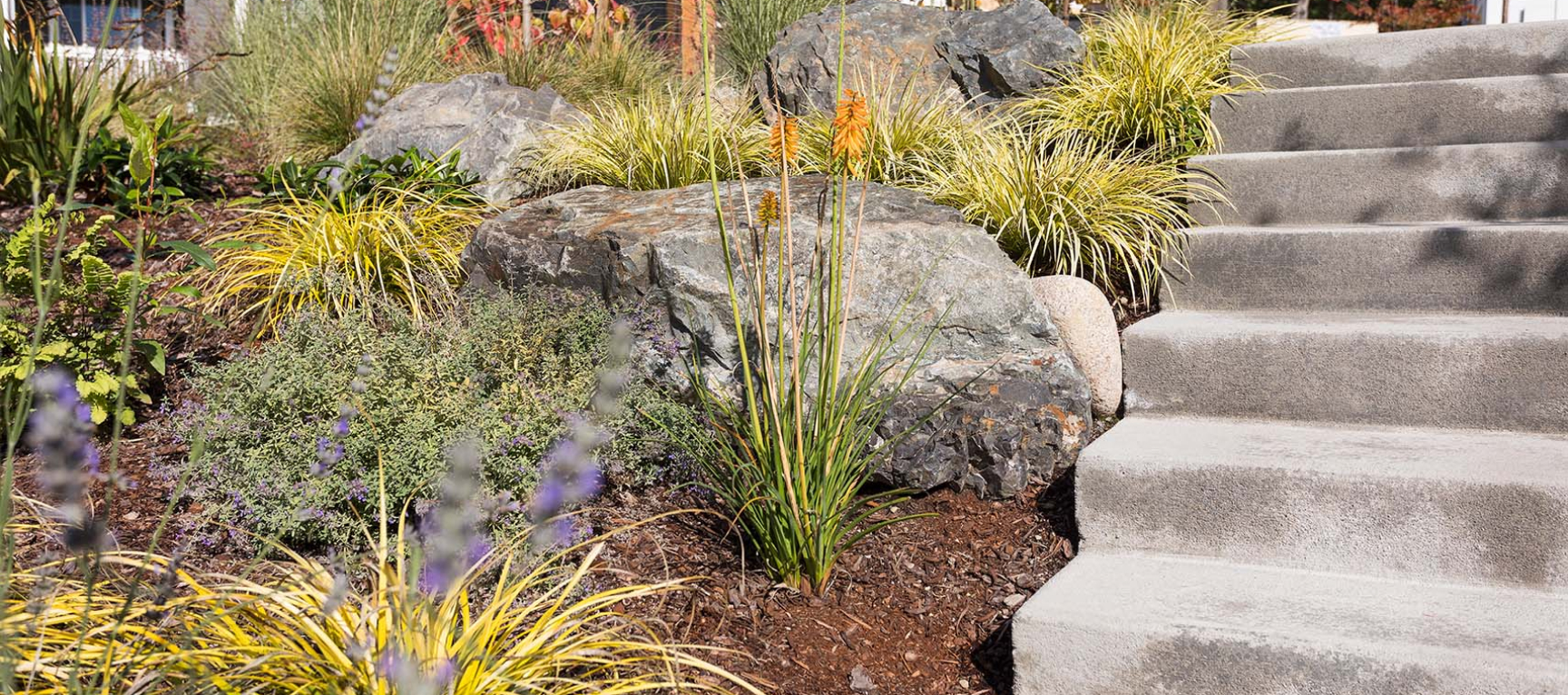 Pacific Landscape Management