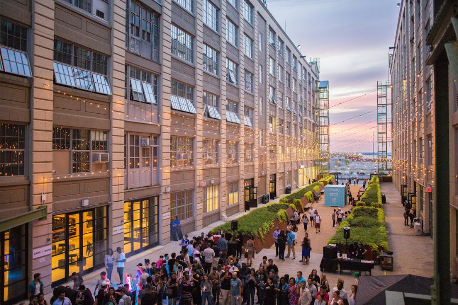 Puff Media - The Purrfect Social Solution