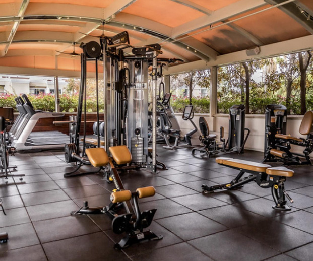 Commercial & Luxury Gym Design - Harley Pasternak