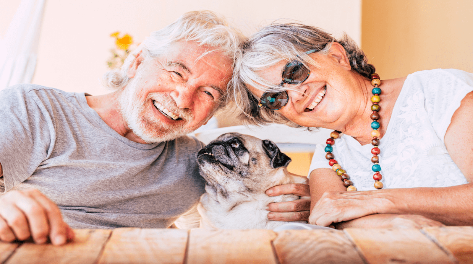 Hamilton/Burlington SPCA | An Animal Welfare Charity