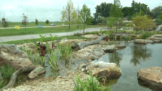 Bog filters make creating wetlands easy | Kansas City Pond Blog