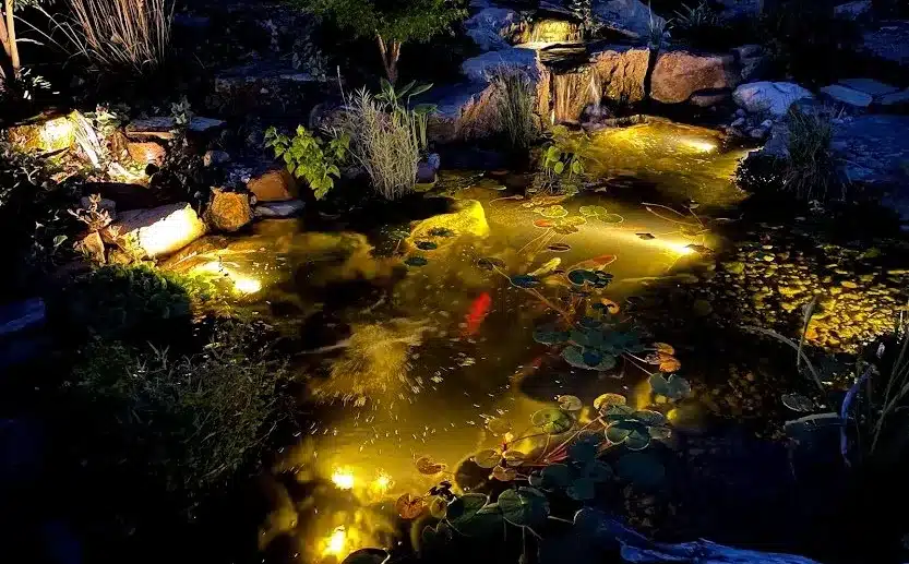 Kansas City Pond Blog | Water Feature Tips From Our Experts