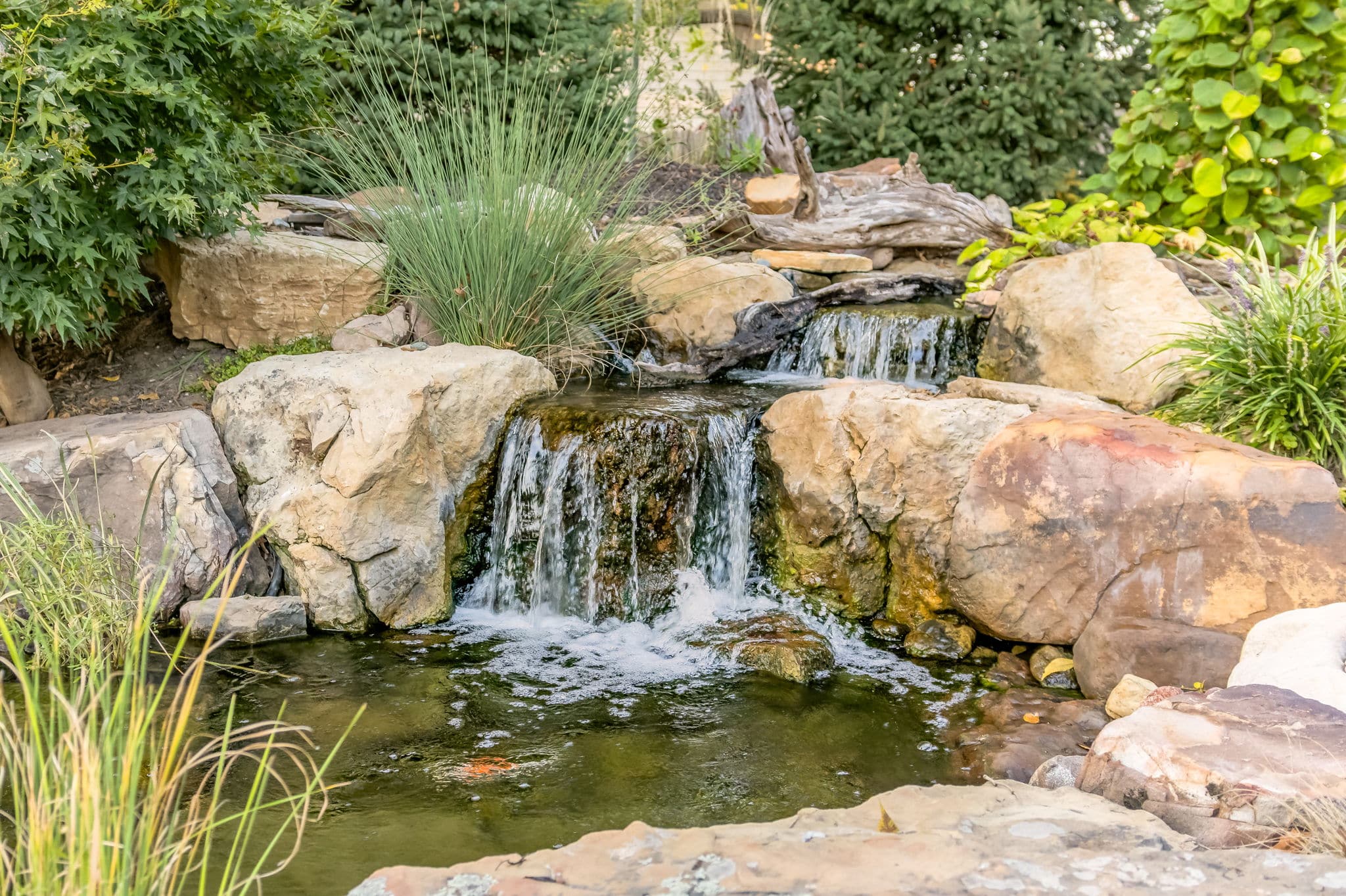 Kansas City Pond Blog | Water Feature Tips From Our Experts
