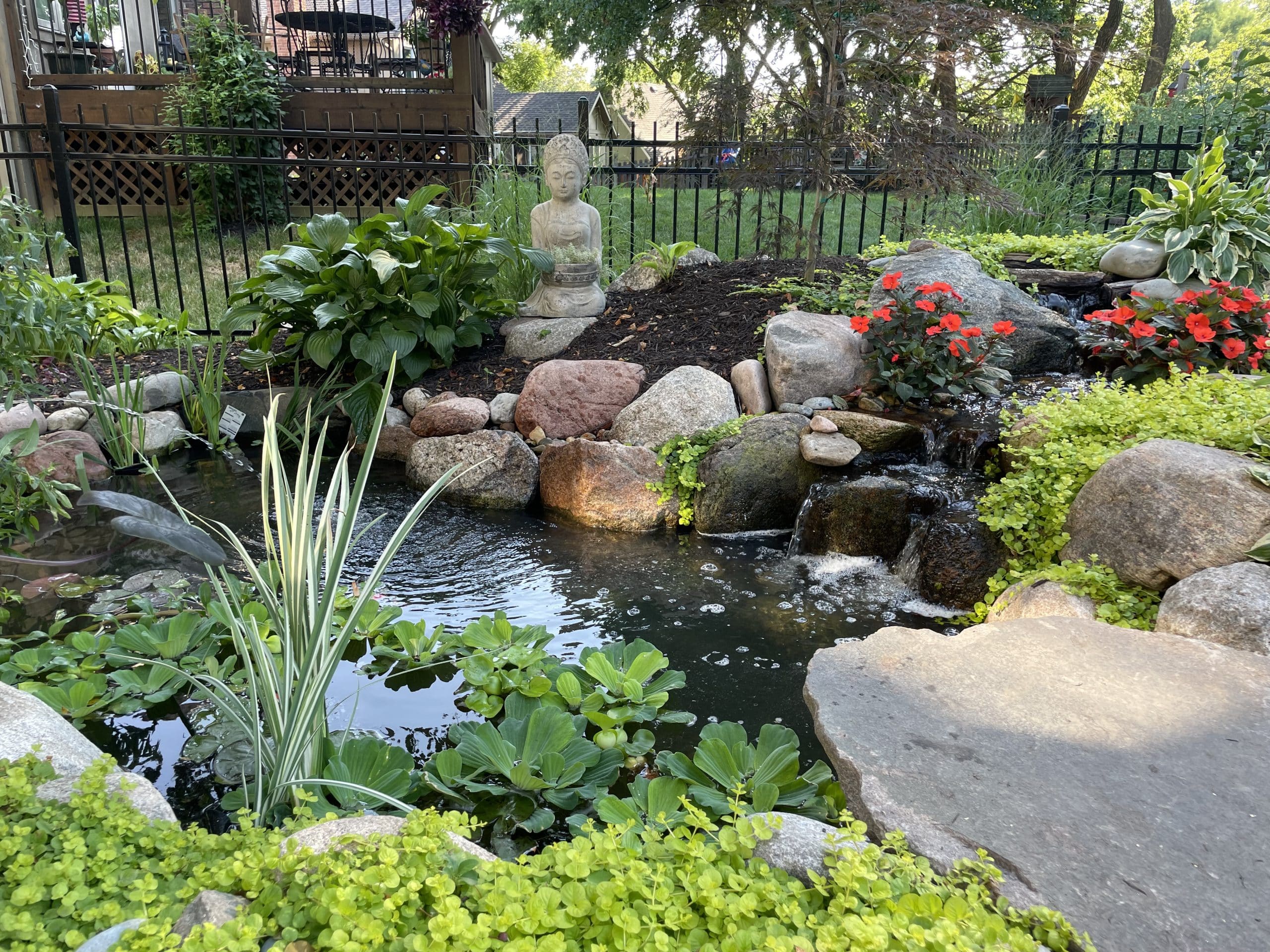 Kansas City Pond Blog | Water Feature Tips From Our Experts