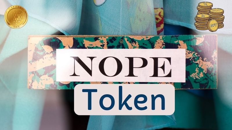 What is Nope Token? (NopeCoin Crypto Overview ) | No Permissions