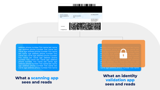 Scanning vs. Validating | Intellicheck