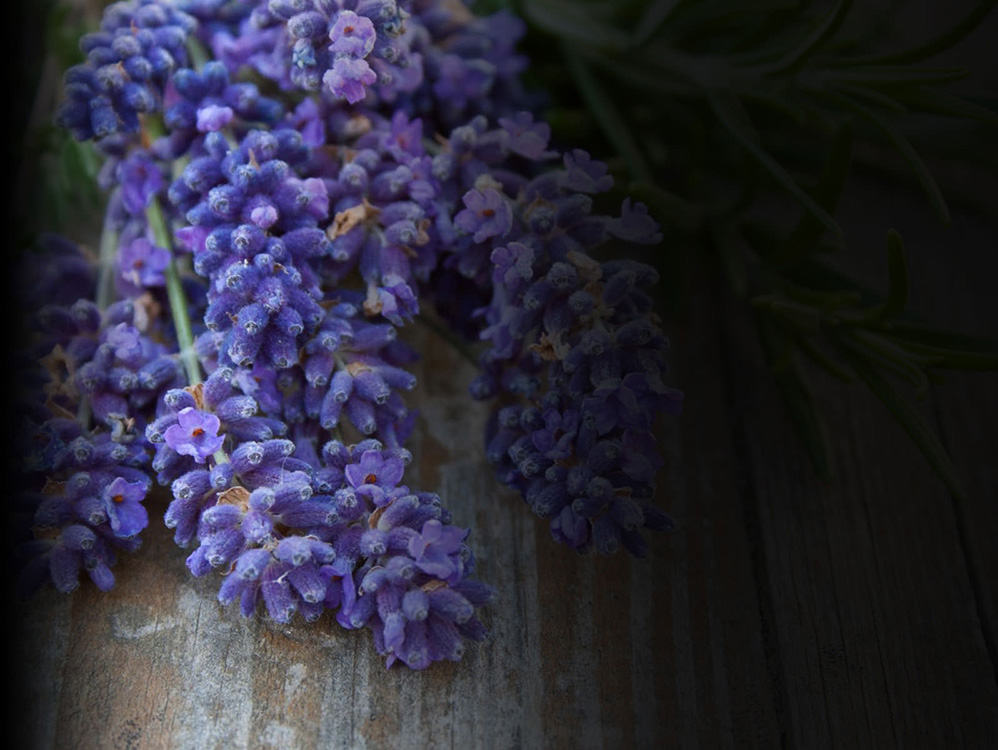 Our Craft | EG Vodka - Everything Good®