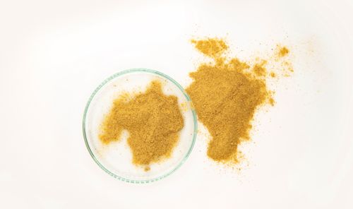 Greenshell Mussel Powder — Waitaki Biosciences
