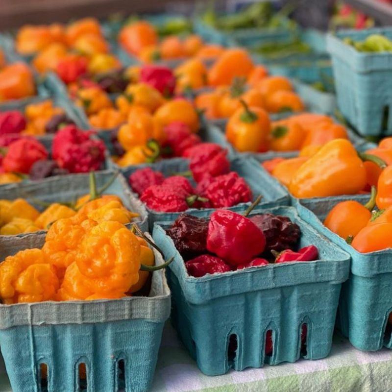 Deep Roots Farm CSA | Year-Round Farm Boxes