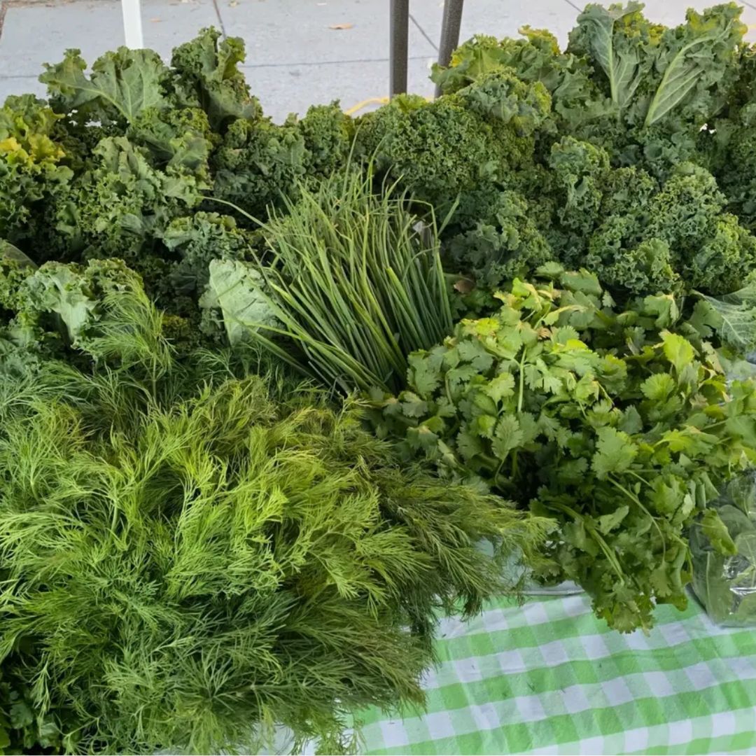 Deep Roots Farm CSA | Year-Round Farm Boxes