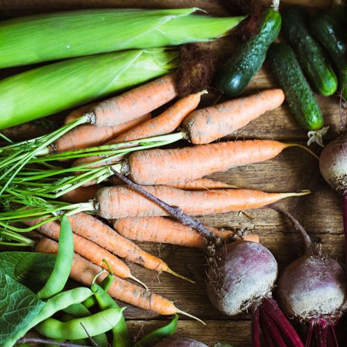 Deep Roots Farm CSA | Year-Round Farm Boxes