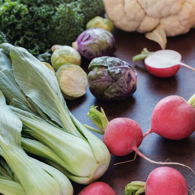 Deep Roots Farm CSA | Year-Round Farm Boxes