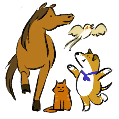 ScribbleVet | AI digital scribe for busy veterinarians