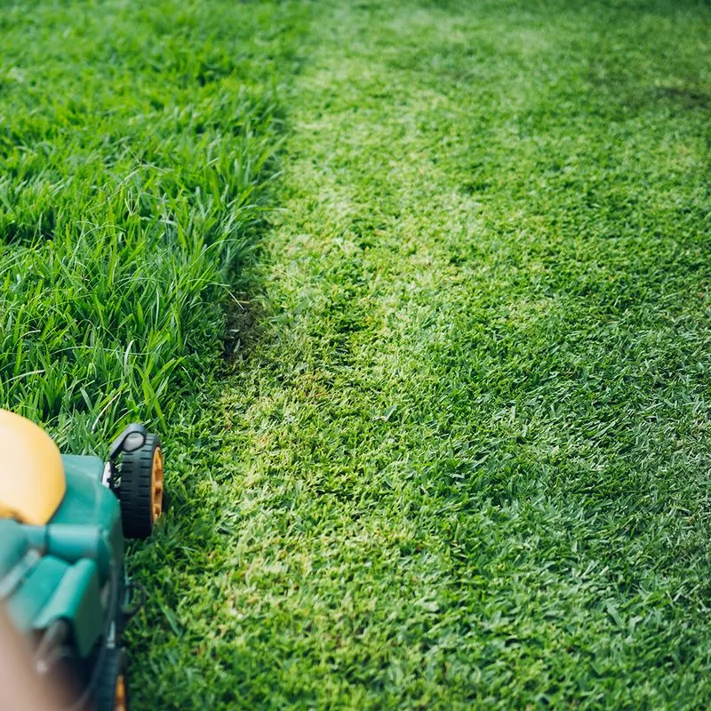 Residential Lawn Care & Landscaping in ME | Perfect Edge Lawn Services