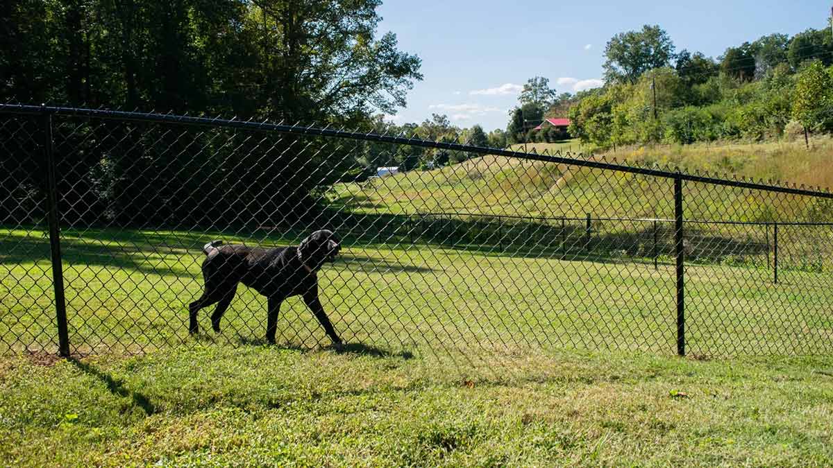 LC Fence, LLC - Top-Rated Fencing Company in the Knoxville Area