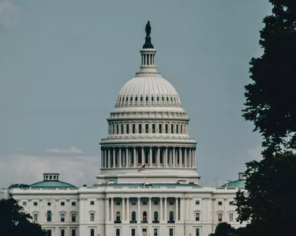 American Policy Ventures