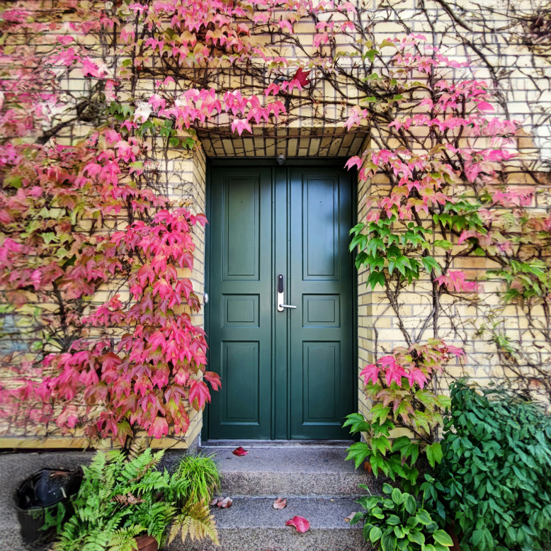 Timber Doors (Heritage) | UDF