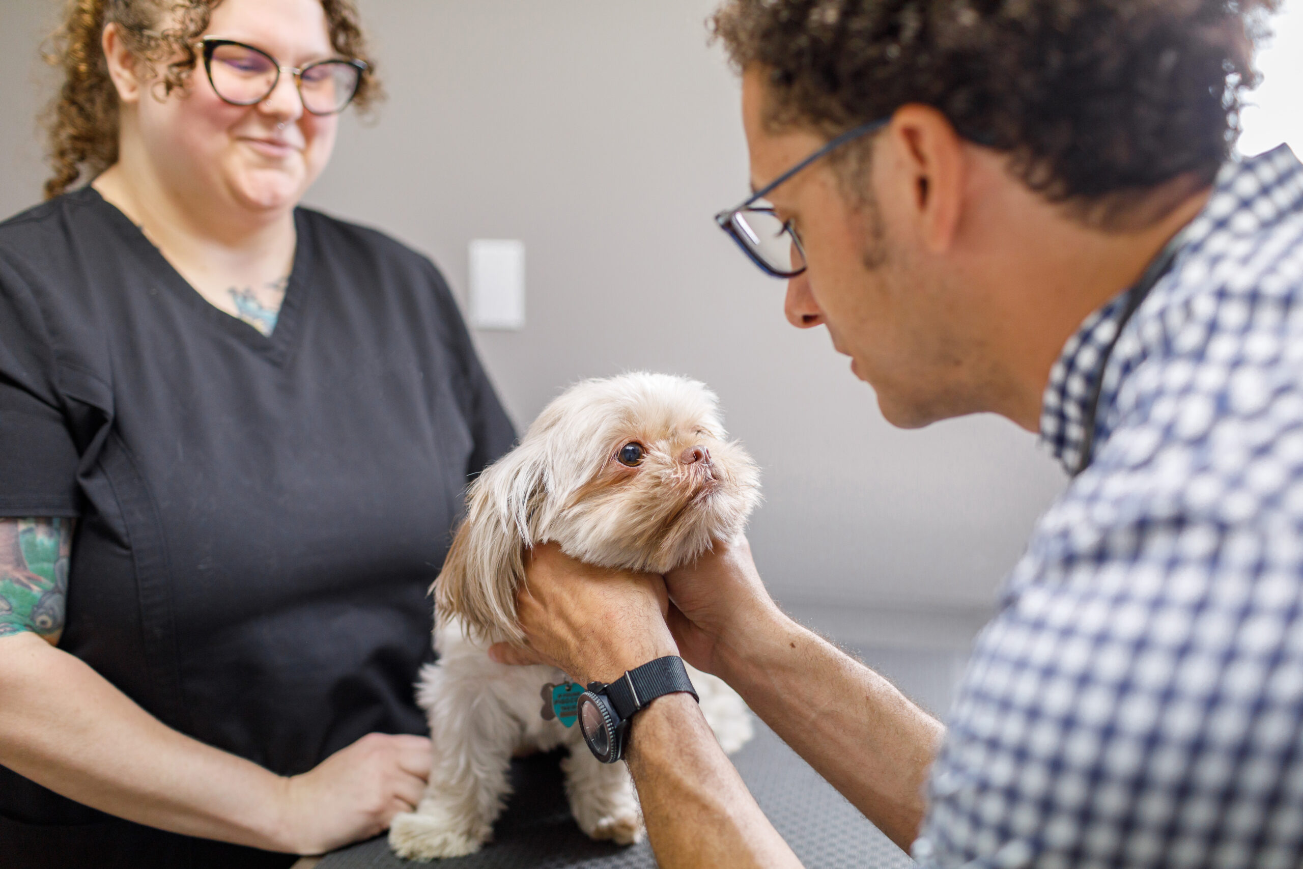 Roo Veterinary Relief