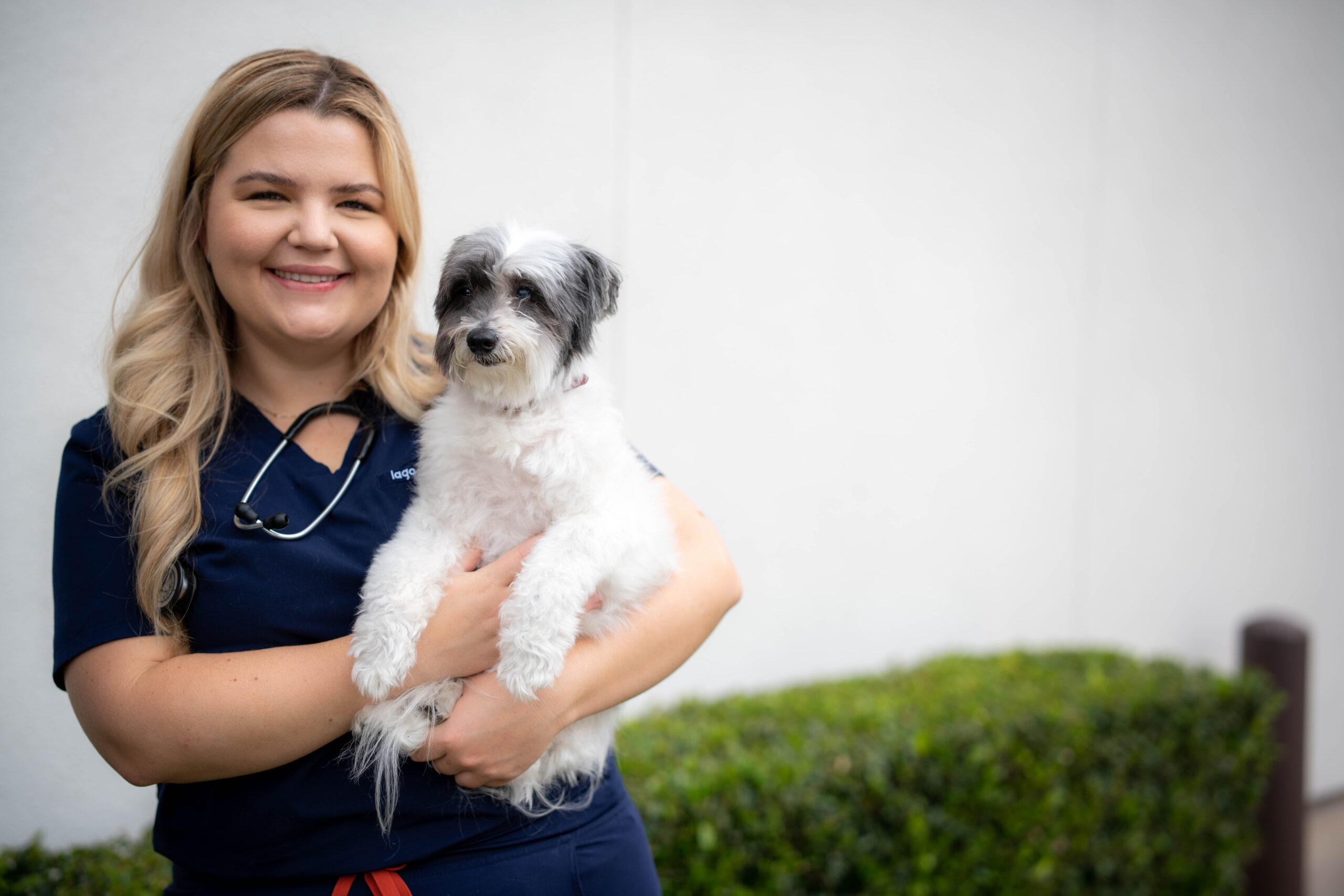 Make the New Year a ROO Year with Veterinary Relief