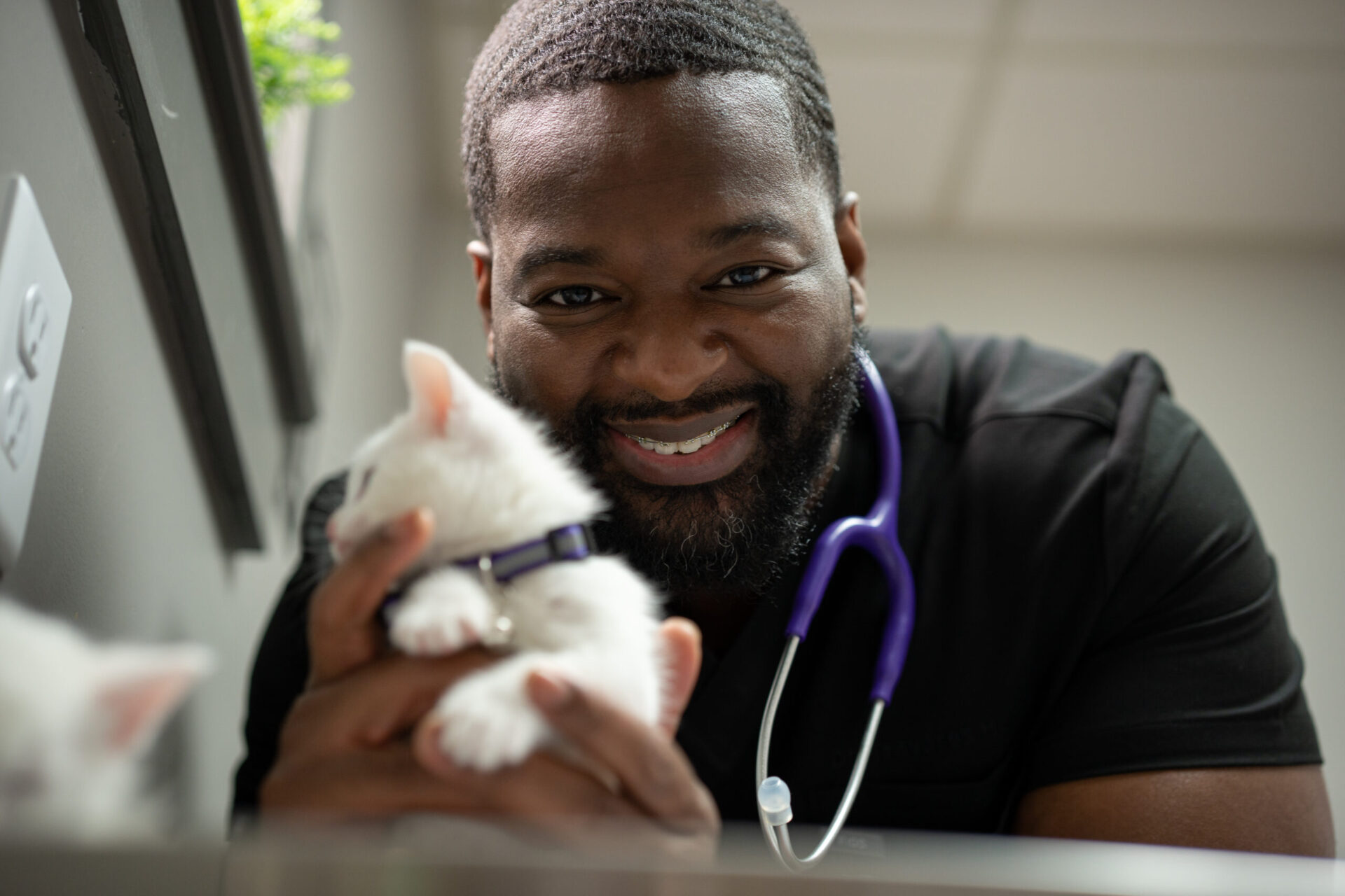 New Year New Roo: Finding Job Satisfaction in Vet Med