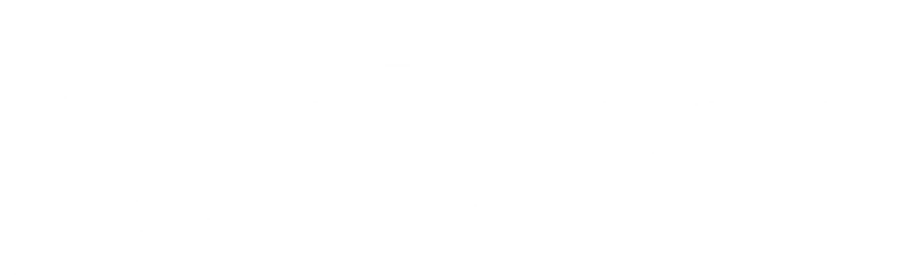 Clueso Terms of Service