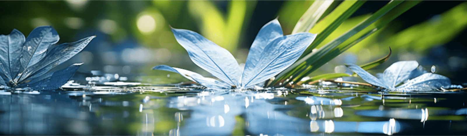 Lotus Behavioral Health - Adolescent Susbstance Abuse Treatment, Orlando FL