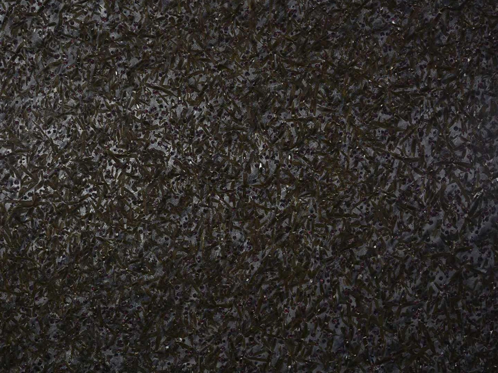 Schist Meteorus | Magban Surfaces