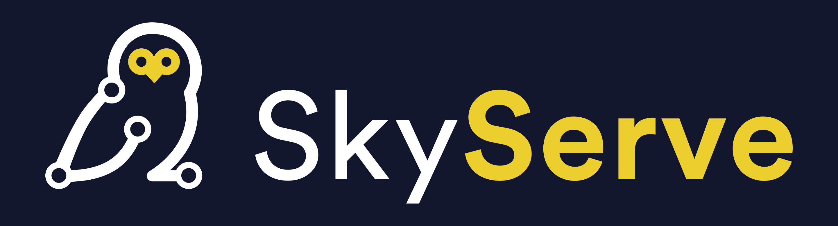 SkyServe | Edge Computing & AI Onboard Satellites