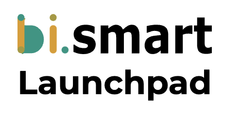 Design Structure Matrix | bi.smart Launchpad
