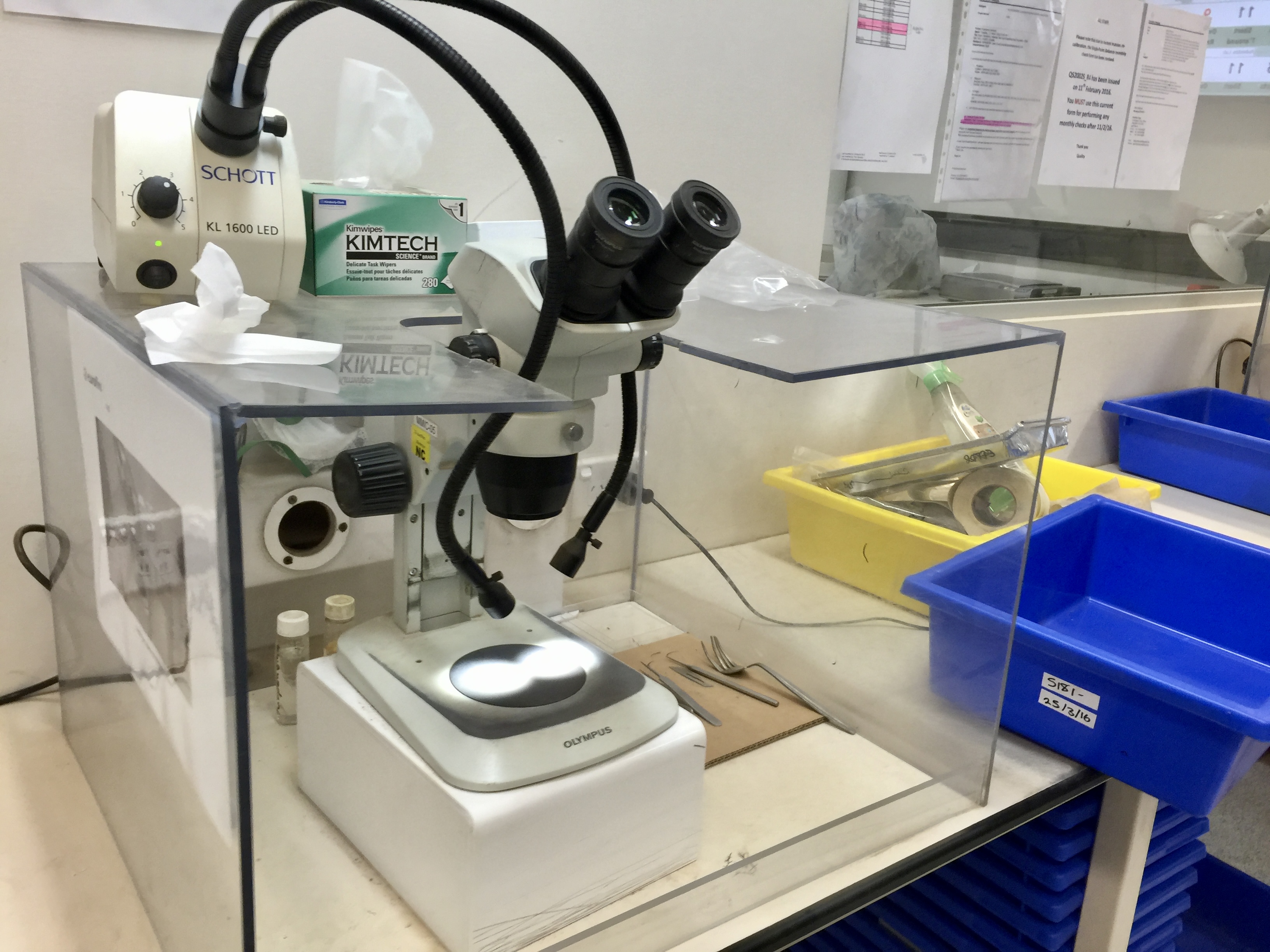 Professional Asbestos Testing in Sydney Area & New South Wales