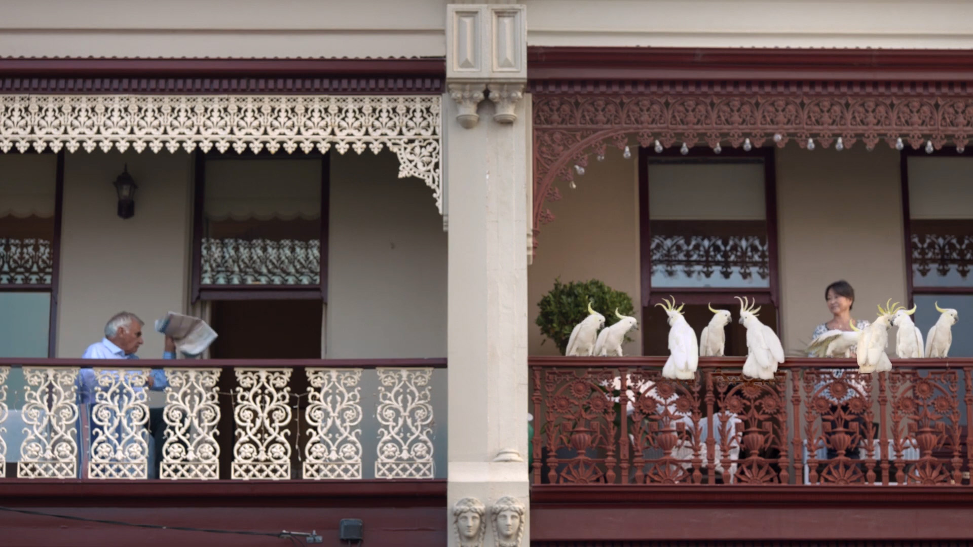 Steve Hanzic :: Advertising :: Brand :: Place