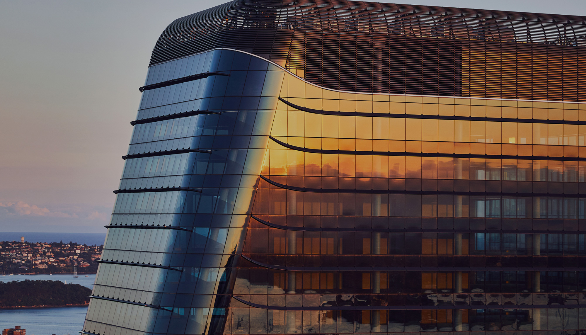 Next Sense - Microsoft Sydney