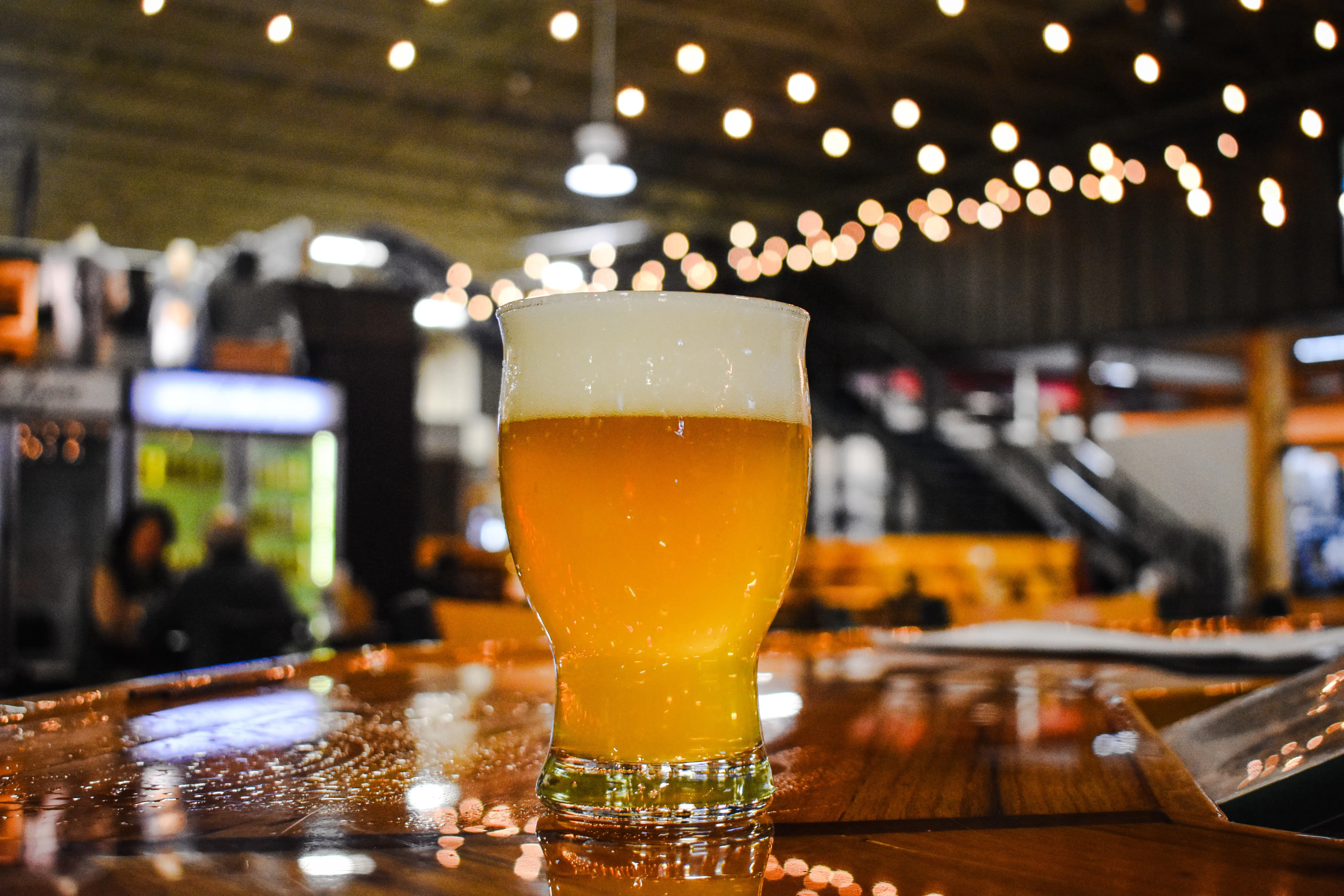 Discover Hanover | Experience All That Hanover Has To Offer