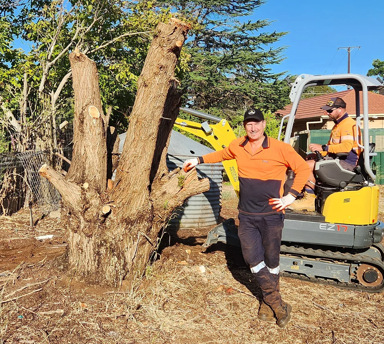 Tom's Outdoor Solutions