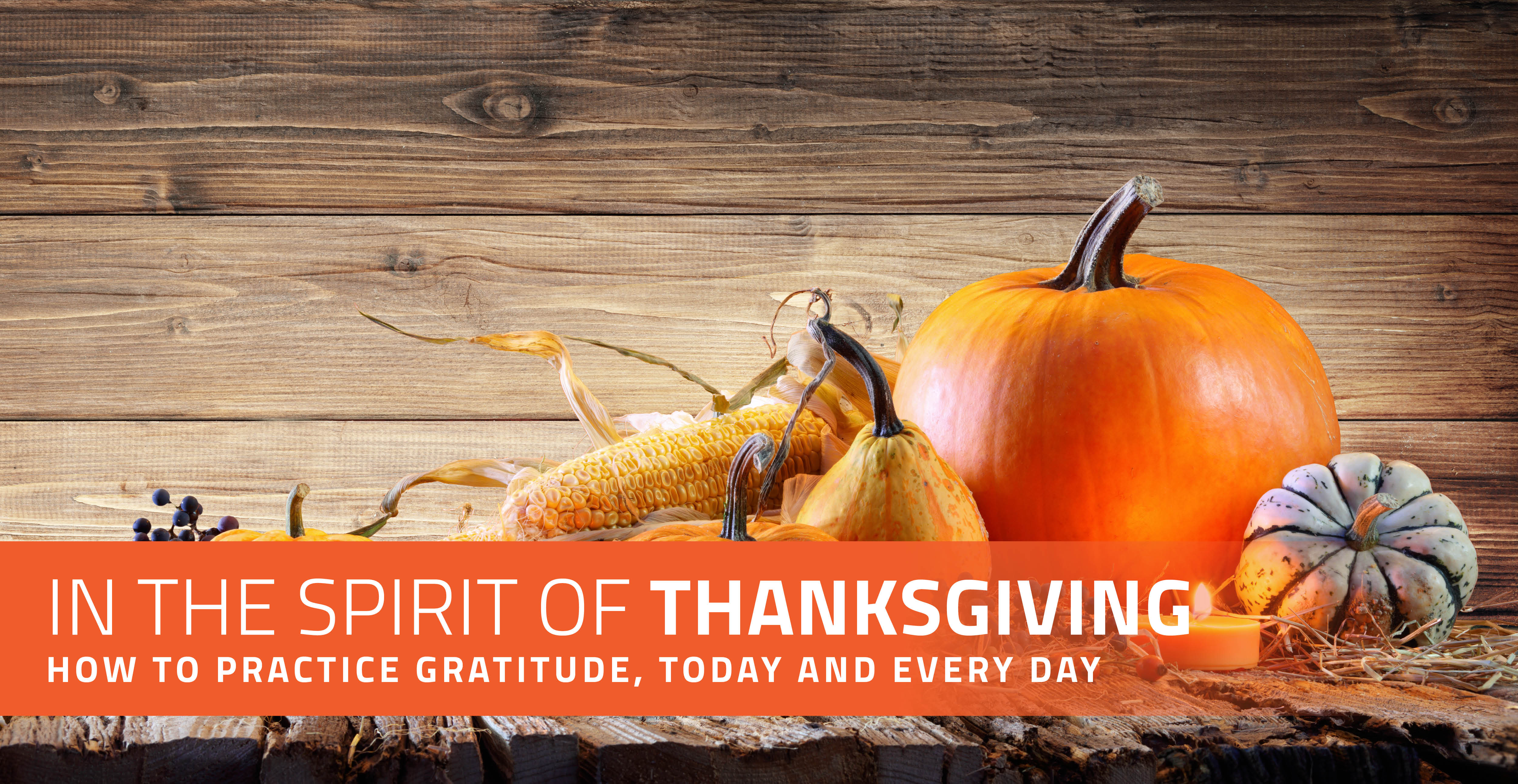 In the Spirit of Thanksgiving