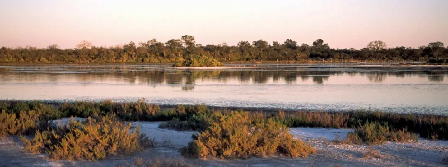 Project | Chaco Minerals