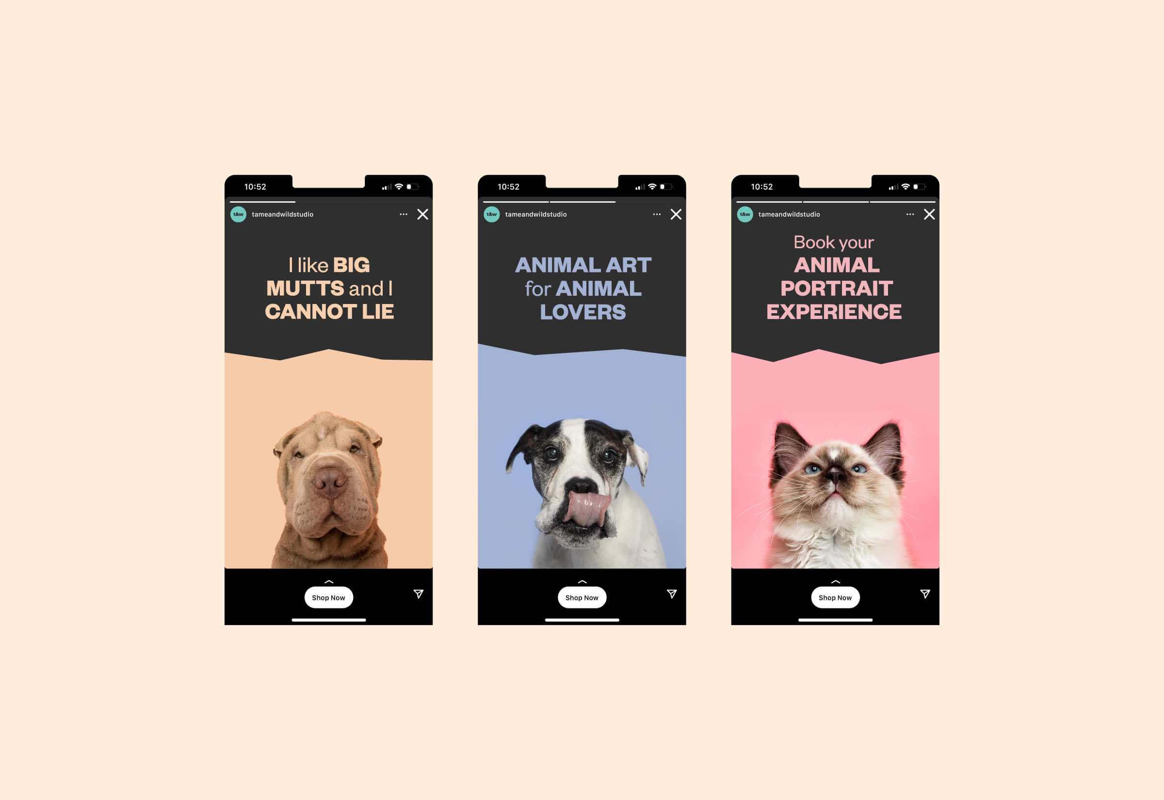 Tame & Wild by The Good Studio | Sunshine Coast Brand & Marketing