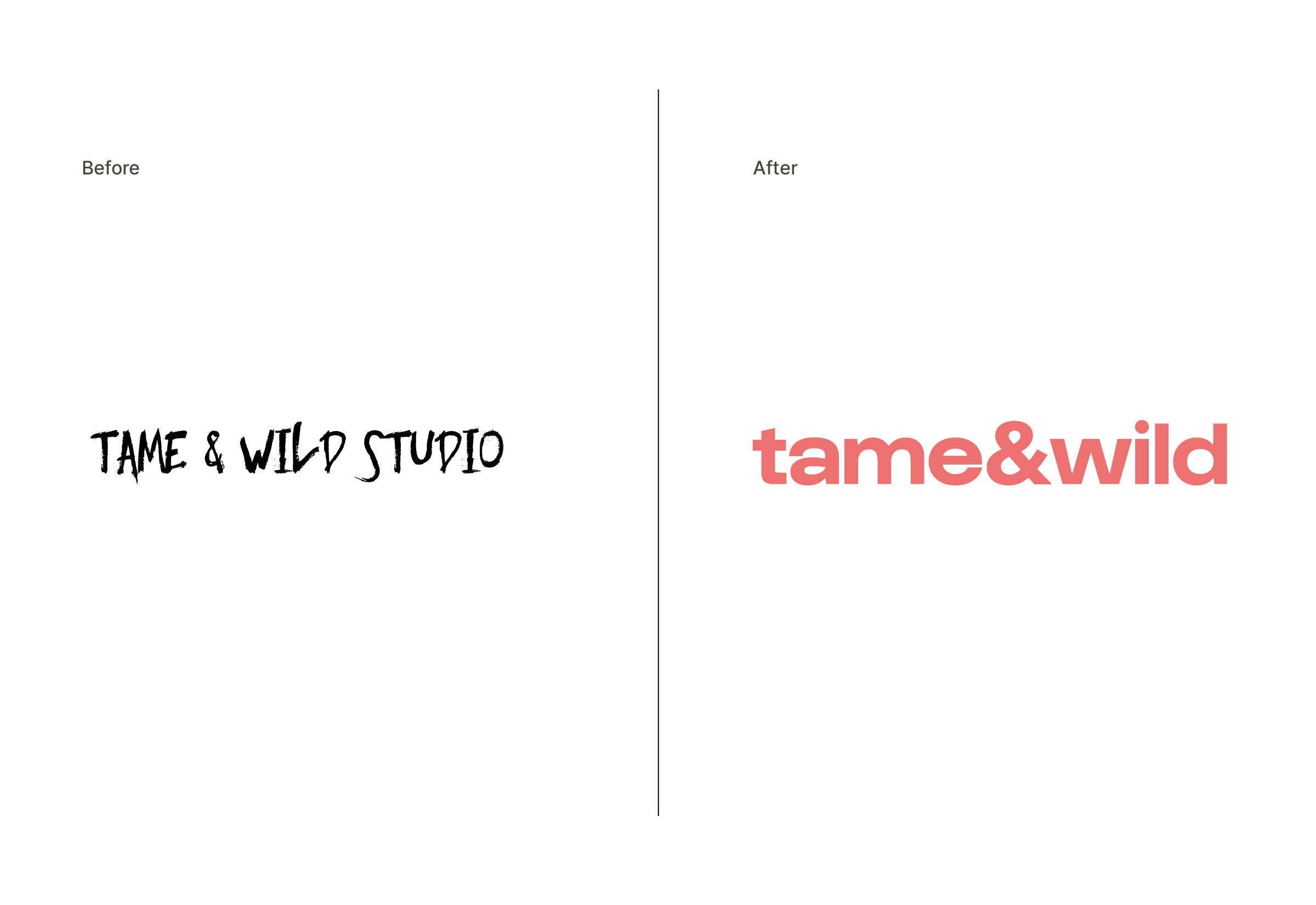 Tame & Wild by The Good Studio | Sunshine Coast Brand & Marketing