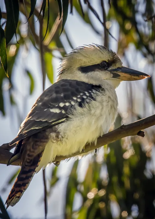 Hunter Wetlands - About | Newcastle NSW