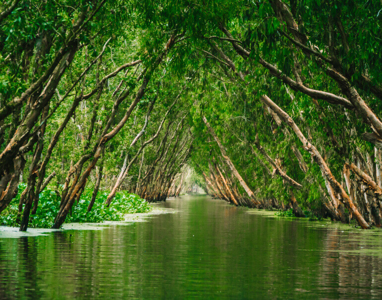 Hunter Wetlands Centre | Newcastle NSW