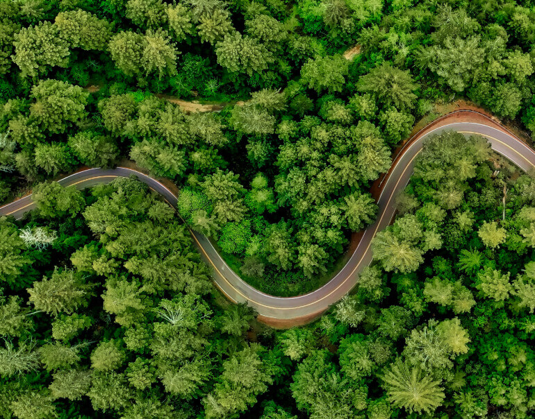 Hunter Wetlands Centre | Newcastle NSW