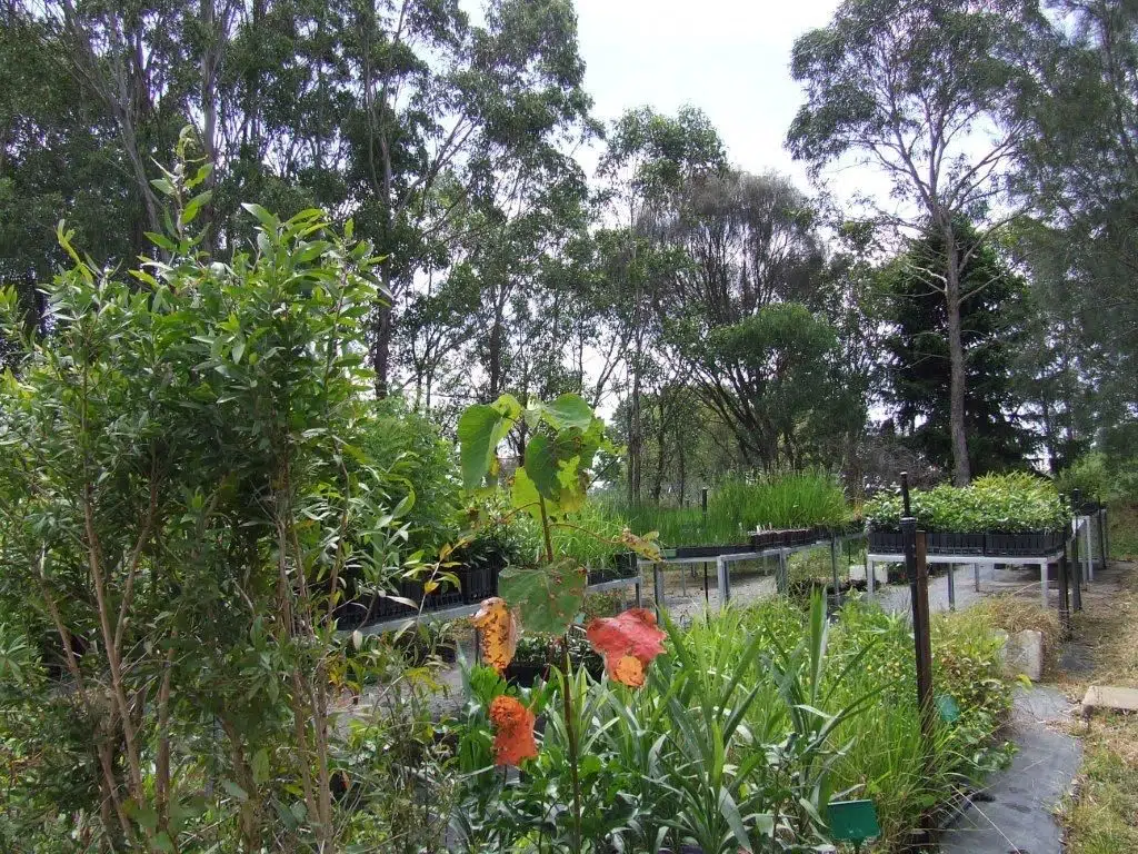 Nursery - Hunter Wetlands | Newcastle NSW